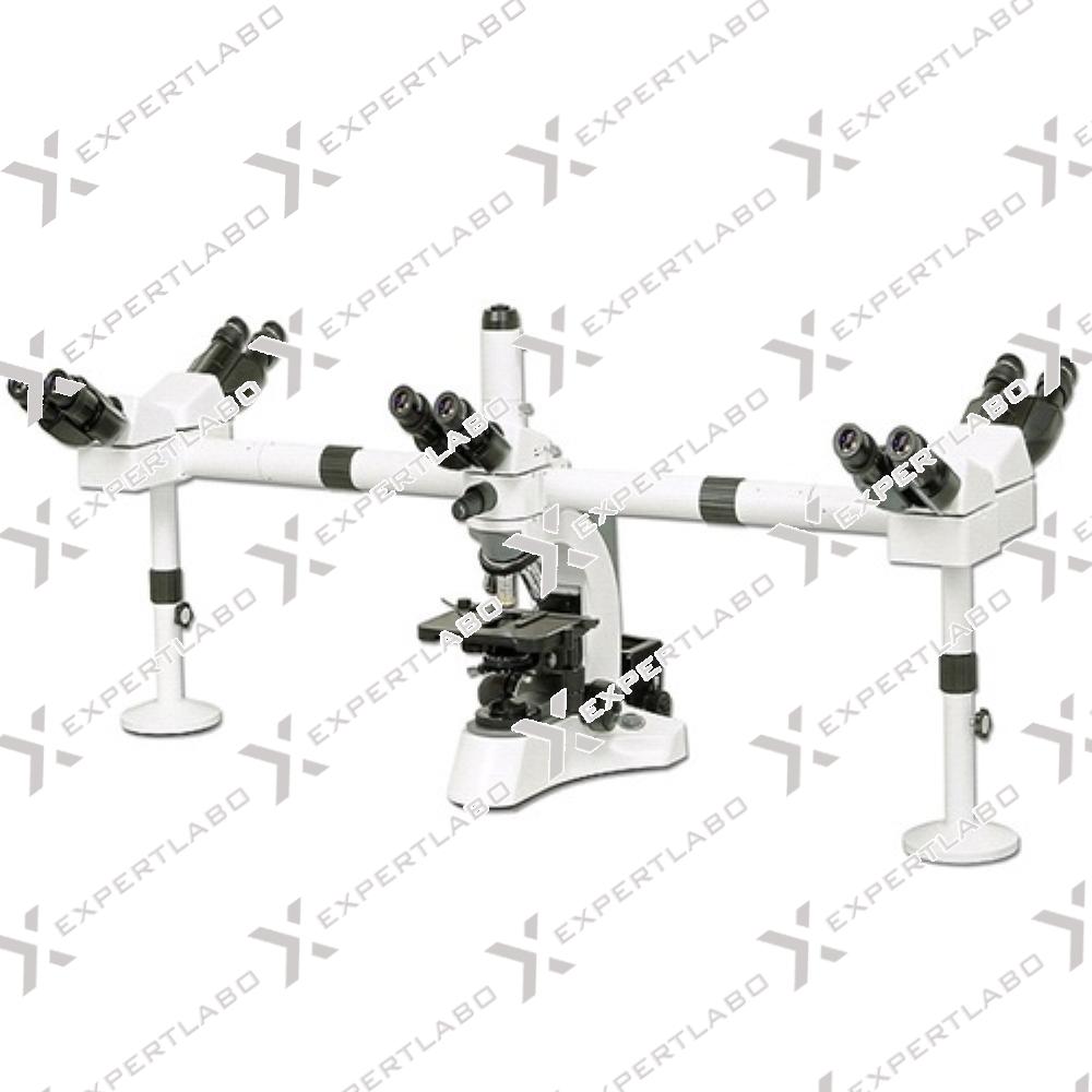MULTI VIEWING MICROSCOPE